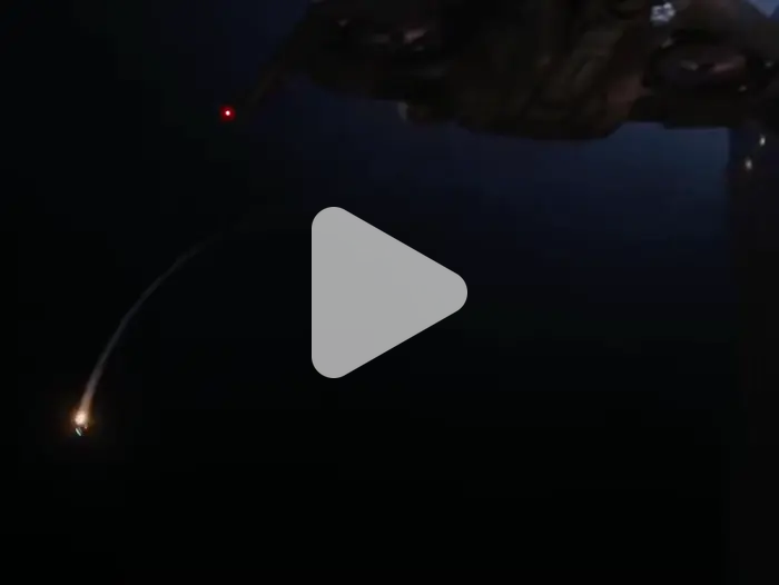 @stonkey I will win #pumpkinparty 😜 video meme - Piñata Farms - The ...