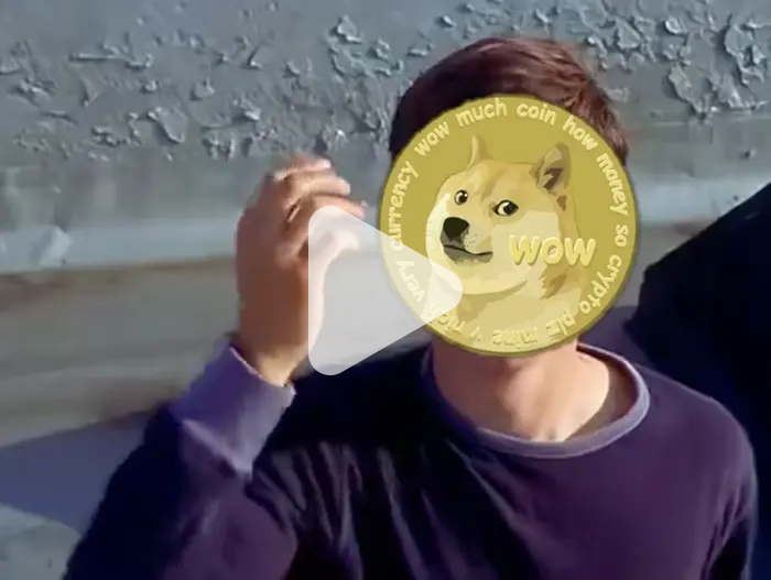 Fly Doge video meme - Piñata Farms - The best meme generator and meme ...