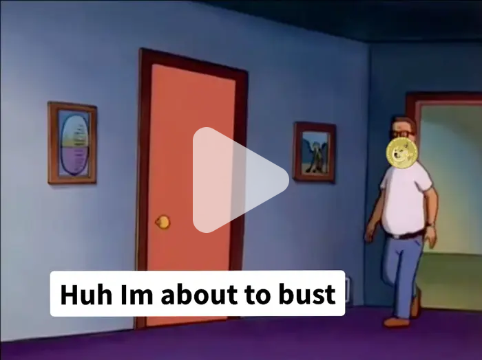 Im about to bust #doge #dogecointothemoon #dogecoin video meme - Piñata ...