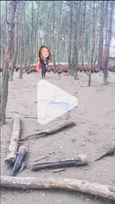 Start this day kickin!!! video meme - Piñata Farms - The best meme ...