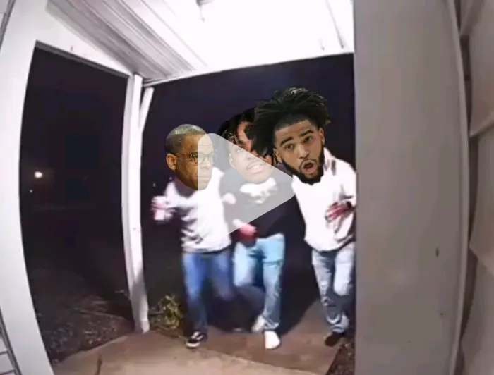 Coach Ruckus made it home after the Duke win #tarheels #dukebluedevils ...