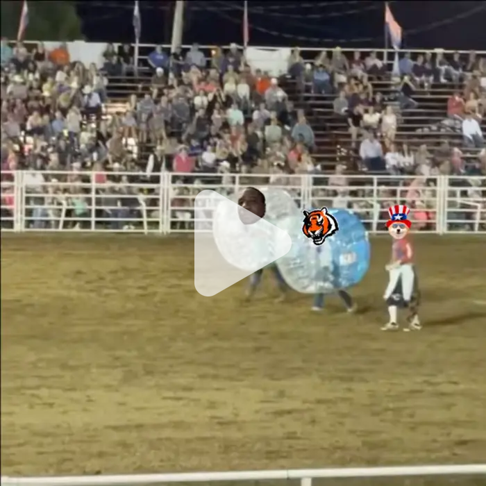 @stonkey ain’t go give up so easy I see🏆🏆🏆 video meme - Piñata Farms ...