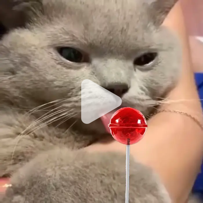 Lollipop lick video meme - Piñata Farms - The best meme generator and ...