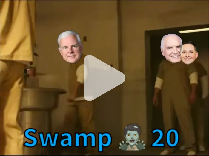 Swamp 🧟‍♂️ Lives video meme - Piñata Farms - The best meme generator ...