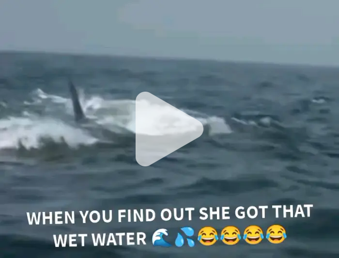 😂😂😂😂😹😹😹🤣🤣💀 #flow video meme - Piñata Farms - The best meme generator ...