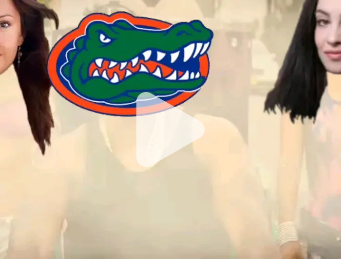 gator trades video meme - Piñata Farms - The best meme generator and meme maker for video ...