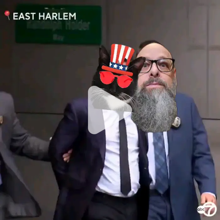 America Cat video meme - Piñata Farms - The best meme generator and ...