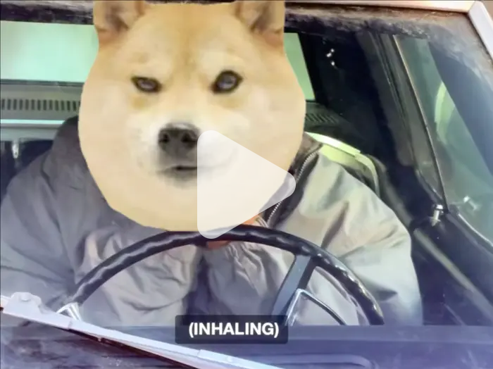 Every doge needs a smoke break video meme - Piñata Farms - The best meme generator and meme ...