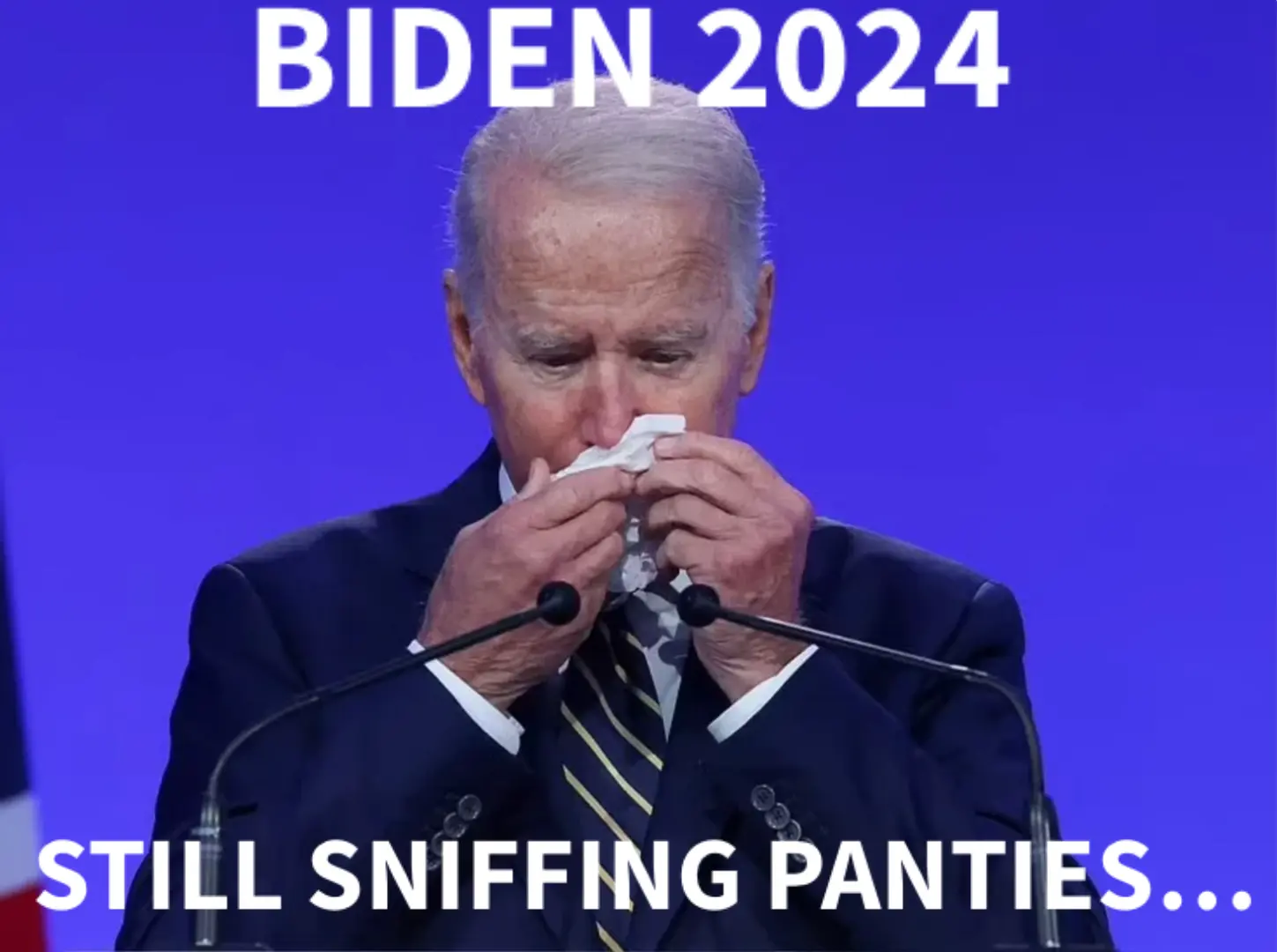 Meme - Piñata Farms - The best meme generator and meme maker for video ...