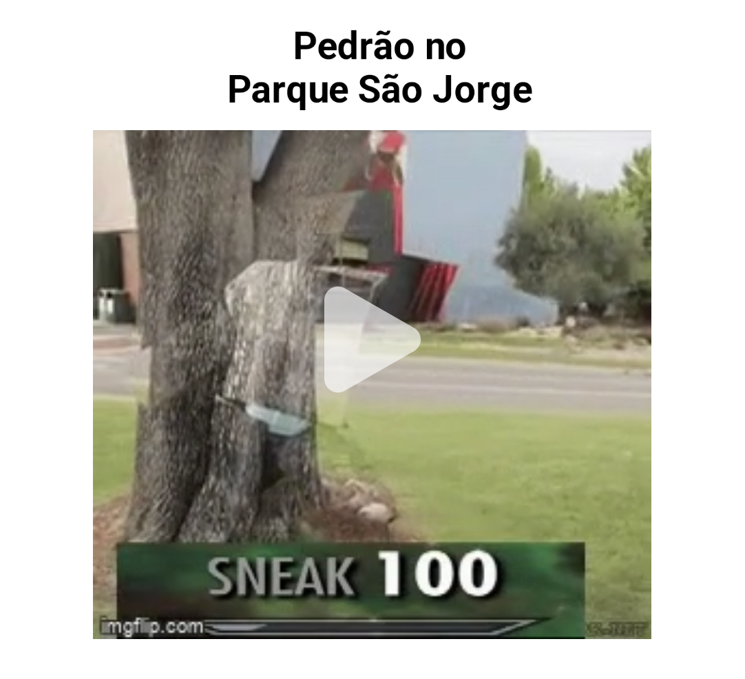 Video Meme - Piñata Farms - The best meme generator and meme maker for ...