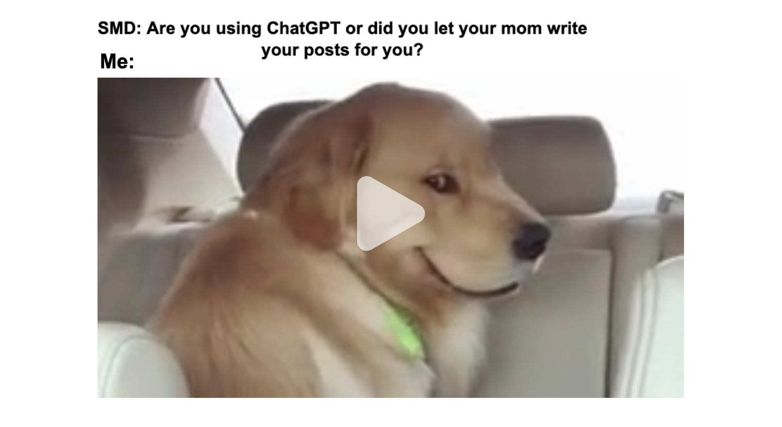Video Meme - Piñata Farms - The best meme generator and meme maker for ...