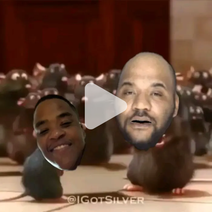 ITS A RAT video meme - Piñata Farms - The best meme generator and meme ...