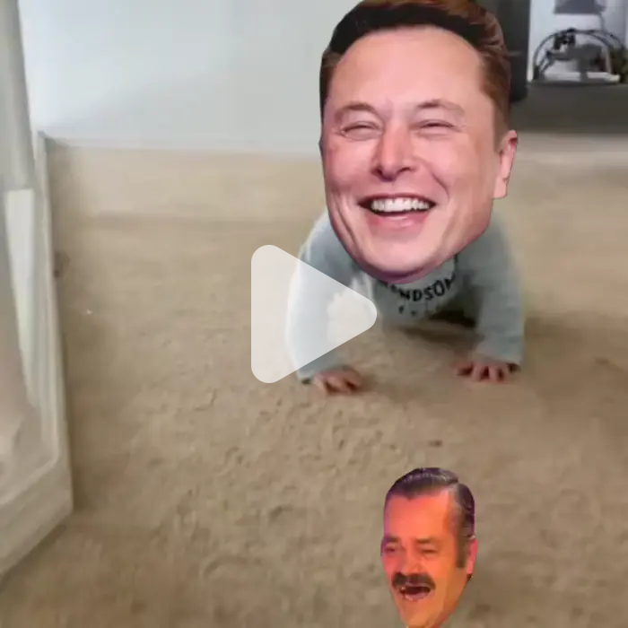 Video Meme - Piñata Farms - The best meme generator and meme maker for ...