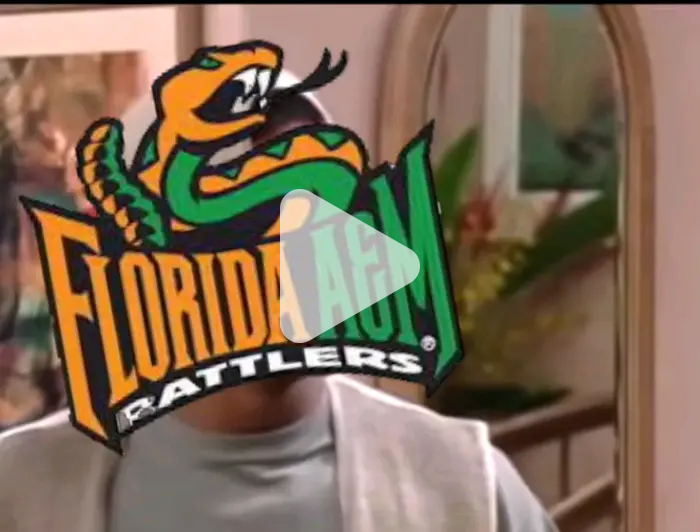 damn famu video meme - Piñata Farms - The best meme generator and meme ...