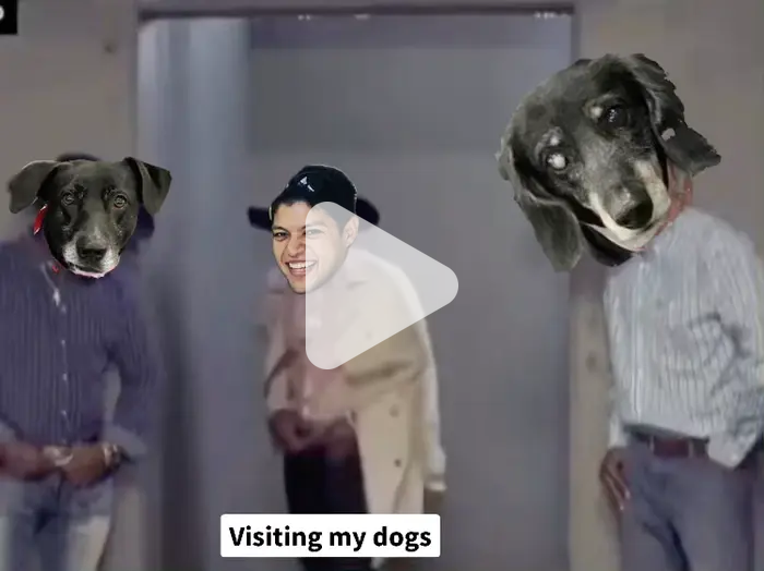 Visiting my dogs video meme - Piñata Farms - The best meme generator ...