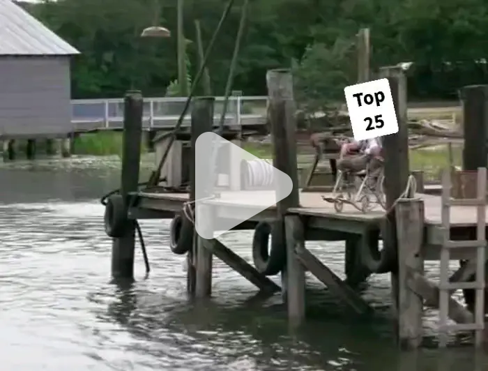 Video Meme - Piñata Farms - The best meme generator and meme maker for ...