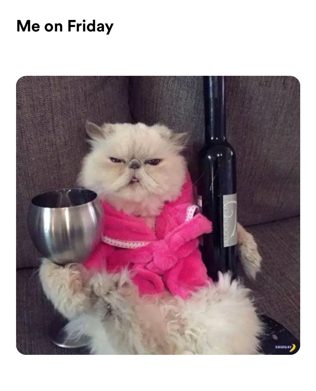 Happy Friday Animal Memes