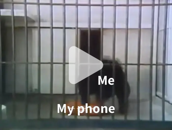 Need to reconsider the way I behave with things((( video meme - Piñata ...