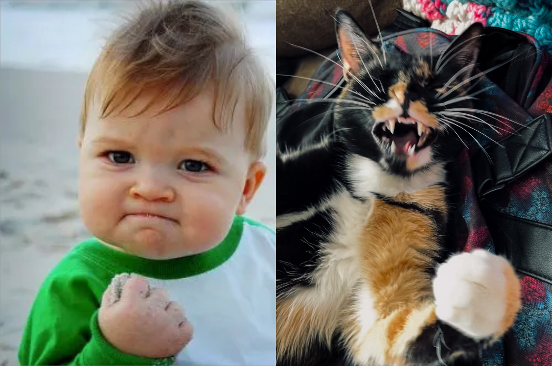 Success Kid Original Memes - Piñata Farms - The best meme generator and ...