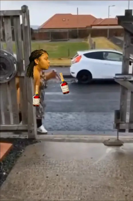 @krazii_kayyy - Piñata Farms - The best meme generator and meme maker ...