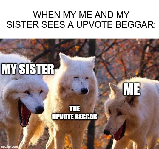 WHEN MY ME AND MY SISTER SEES A UPVOTE BEGGAR:; MY SISTER; ME; THE ...