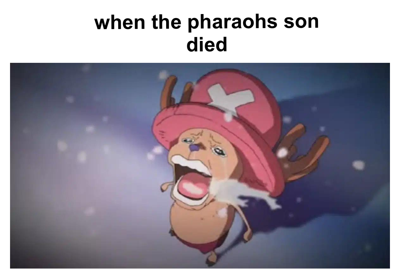 Meme - Piñata Farms - The best meme generator and meme maker for video ...