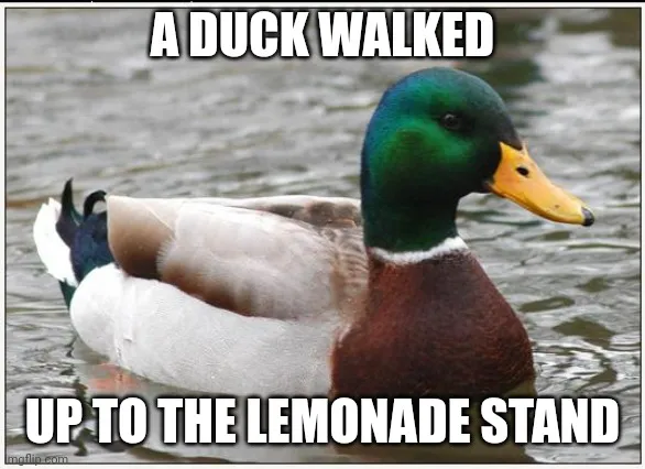 A DUCK WALKED; UP TO THE LEMONADE STAND meme - Piñata Farms - The best ...