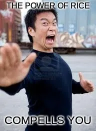 THE POWER OF RICE; COMPELLS YOU meme - Piñata Farms - The best meme ...