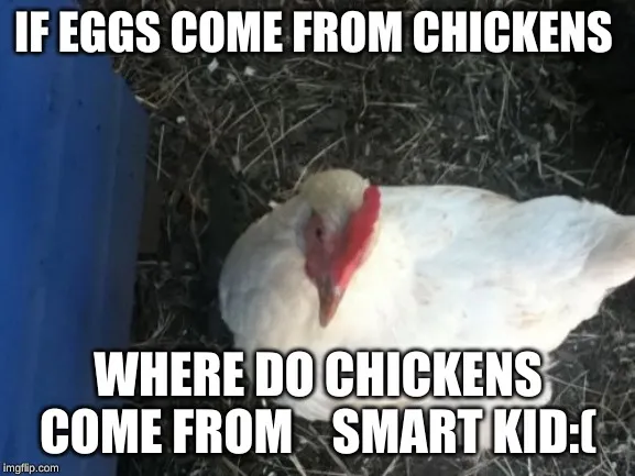 IF EGGS COME FROM CHICKENS; WHERE DO CHICKENS COME FROM SMART KID ...