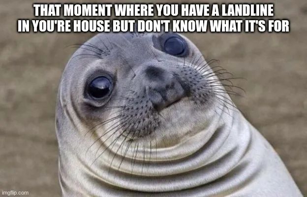 THAT MOMENT WHERE YOU HAVE A LANDLINE IN YOU'RE HOUSE BUT DON'T KNOW ...