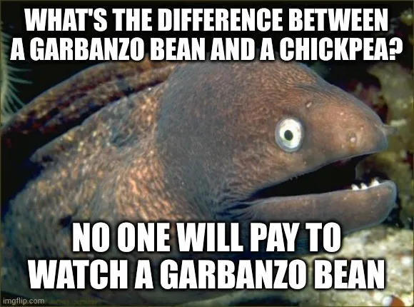 WHAT'S THE DIFFERENCE BETWEEN A GARBANZO BEAN AND A CHICKPEA? NO ONE ...