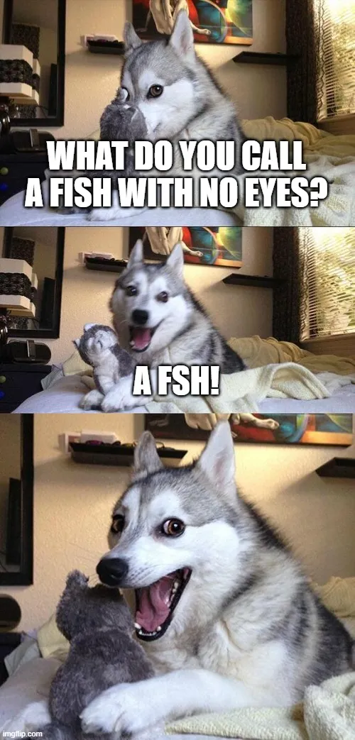 WHAT DO YOU CALL A FISH WITH NO EYES? A FSH! meme - Piñata Farms - The ...