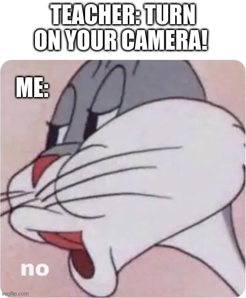 TEACHER: TURN ON YOUR CAMERA! ME: meme - Piñata Farms - The best meme ...