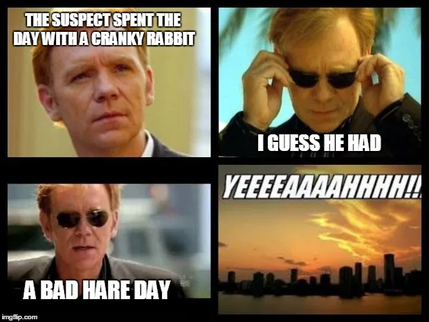 THE SUSPECT SPENT THE DAY WITH A CRANKY RABBIT; I GUESS HE HAD; A BAD ...