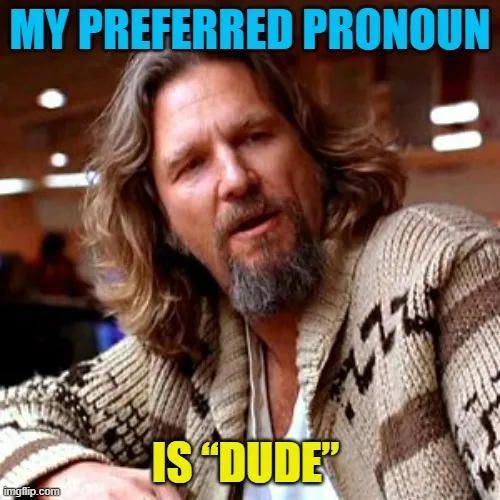 MY PREFERRED PRONOUN; IS “DUDE” meme - Piñata Farms - The best meme ...