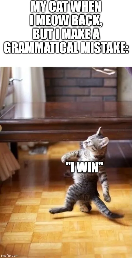 Meme Grammaticale Mother Of Italian Grammar Meme By Archedox80 :)