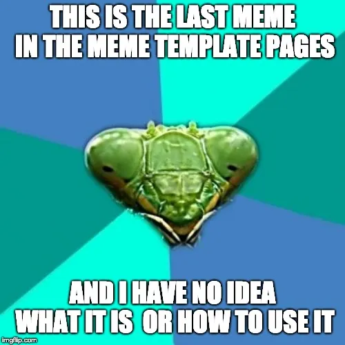 THIS IS THE LAST MEME IN THE MEME TEMPLATE PAGES; AND I HAVE NO IDEA ...