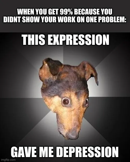 WHEN YOU GET 99% BECAUSE YOU DIDNT SHOW YOUR WORK ON ONE PROBLEM:; THIS ...