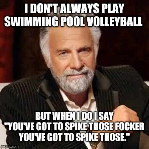 I DON'T ALWAYS PLAY SWIMMING POOL VOLLEYBALL; BUT WHEN I DO I SAY "YOU ...