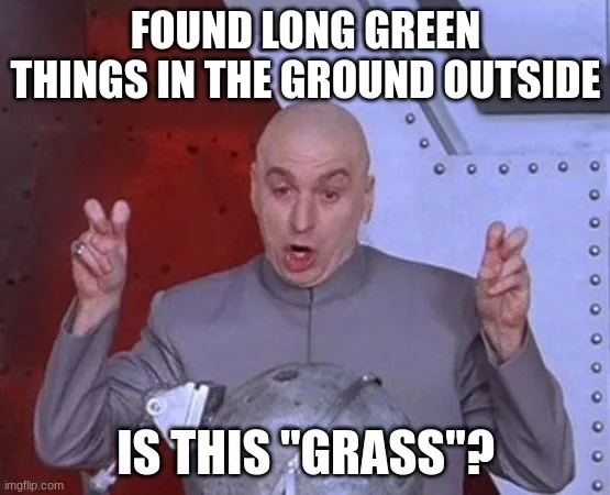 Green Grass Memes