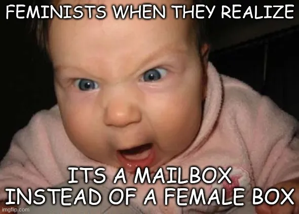 FEMINISTS WHEN THEY REALIZE; ITS A MAILBOX INSTEAD OF A FEMALE BOX meme ...