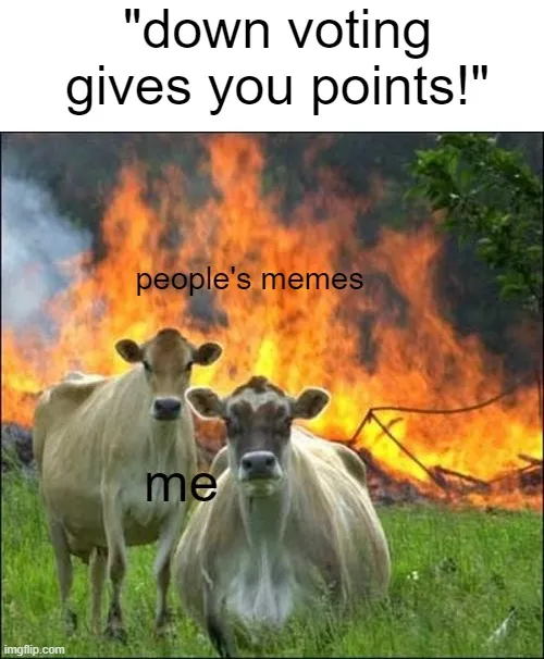 "down voting gives you points!"; people's memes; me meme - Piñata Farms ...