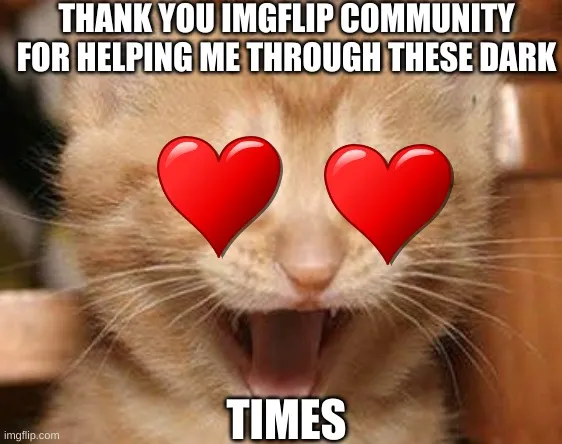 THANK YOU IMGFLIP COMMUNITY FOR HELPING ME THROUGH THESE DARK; TIMES ...