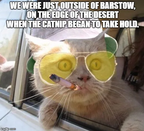 WE WERE JUST OUTSIDE OF BARSTOW, ON THE EDGE OF THE DESERT WHEN THE ...