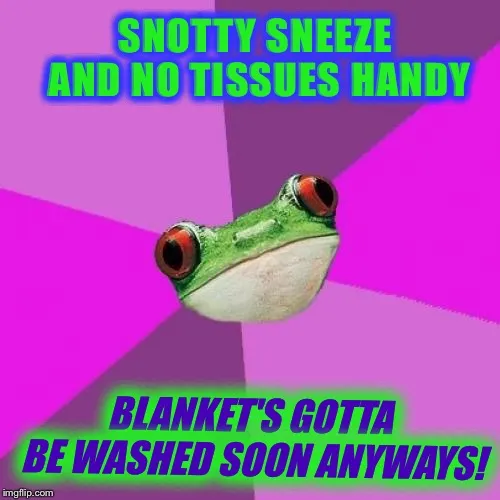 SNOTTY SNEEZE AND NO TISSUES HANDY; BLANKET'S GOTTA BE WASHED SOON ...