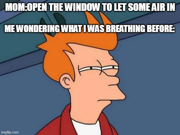 MOM:OPEN THE WINDOW TO LET SOME AIR IN; ME WONDERING WHAT I WAS ...