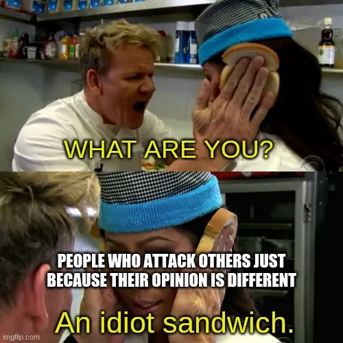 WHAT ARE YOU? PEOPLE WHO ATTACK OTHERS JUST BECAUSE THEIR OPINION IS ...