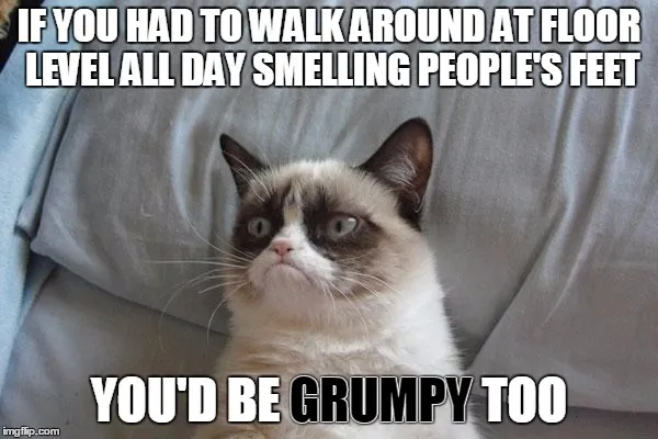 IF YOU HAD TO WALK AROUND AT FLOOR LEVEL ALL DAY SMELLING PEOPLE'S FEET; YOU'D BE GRUMPY TOO ...