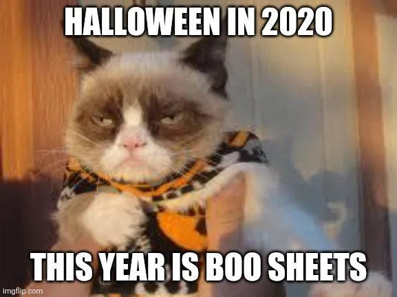 HALLOWEEN IN 2020; THIS YEAR IS BOO SHEETS meme - Piñata Farms - The ...