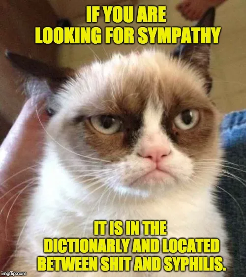 IF YOU ARE LOOKING FOR SYMPATHY; IT IS IN THE DICTIONARLY AND LOCATED ...